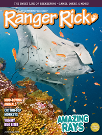 Subscribe | National Wildlife Federation