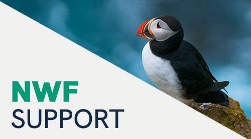 Support | National Wildlife Federation