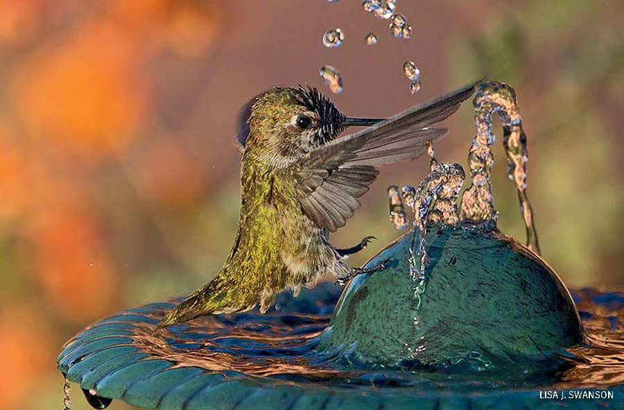 Humming Along