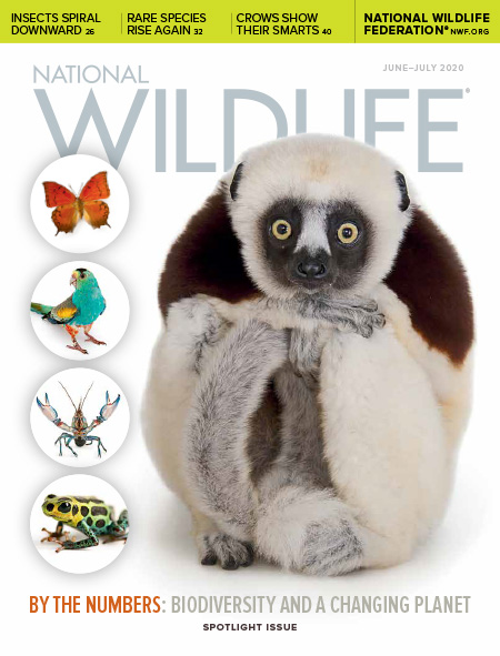 June-July 2020 | National Wildlife Magazine