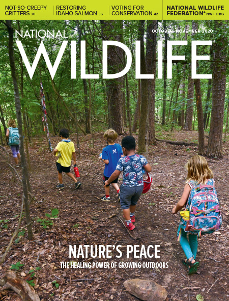 October-November 2020 | National Wildlife Magazine