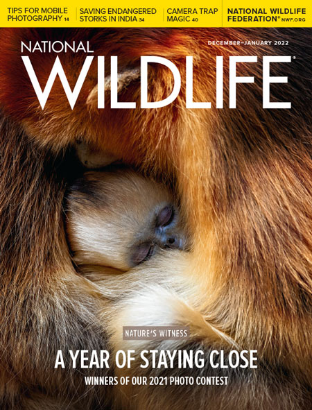 National Wildlife® Magazine Archive