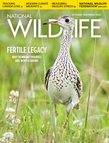 October–November 2022 | National Wildlife Magazine