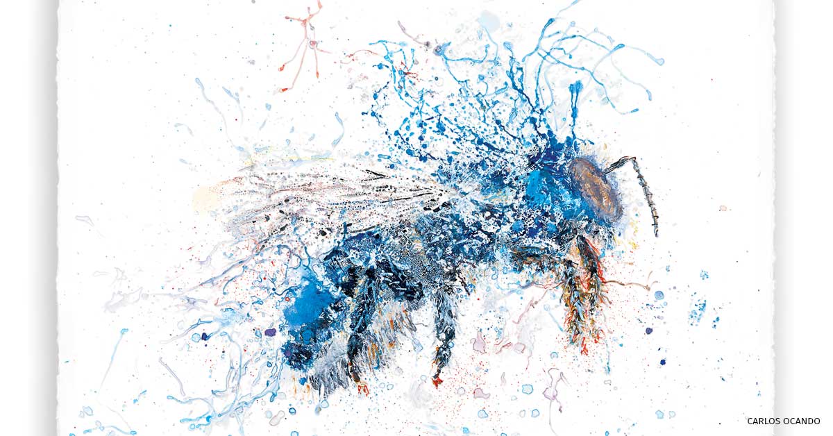 Artist Cindee Klement Builds Buzz for Native Bees