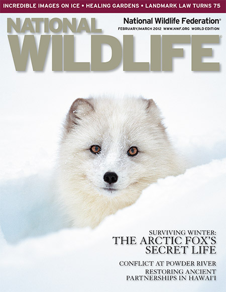 February–March 2012 | National Wildlife Magazine