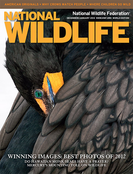 December 2012–January 2013 | National Wildlife Magazine
