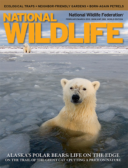 February–March 2013 | National Wildlife Magazine
