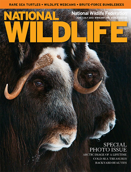 June–July 2013 | National Wildlife Magazine