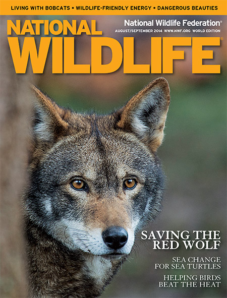 August–September 2014 | National Wildlife Magazine