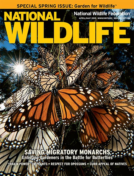April–May 2015 | National Wildlife Magazine