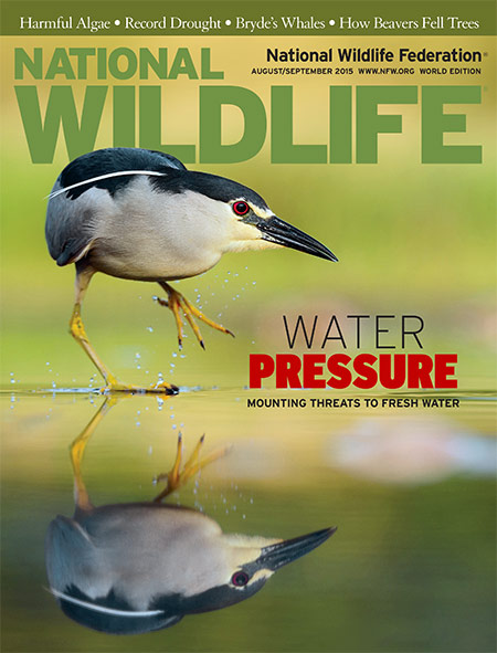 August–September 2015 | National Wildlife Magazine