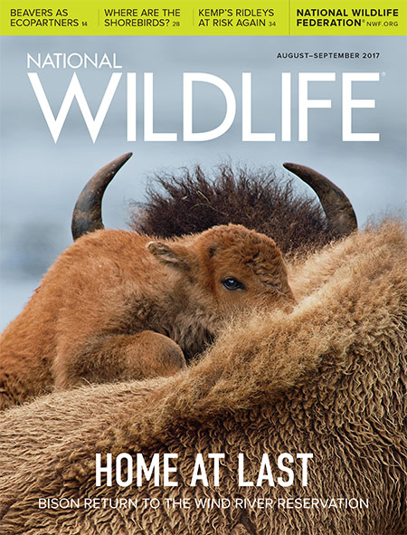 August–September 2017 | National Wildlife Magazine