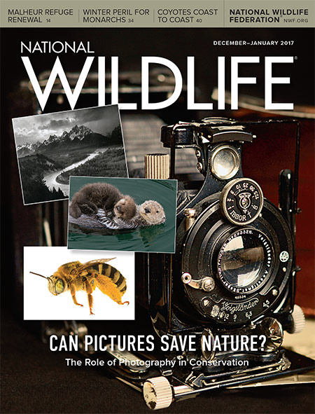 December 2016–January 2017 | National Wildlife Magazine