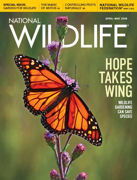 April-May 2018 | National Wildlife Magazine