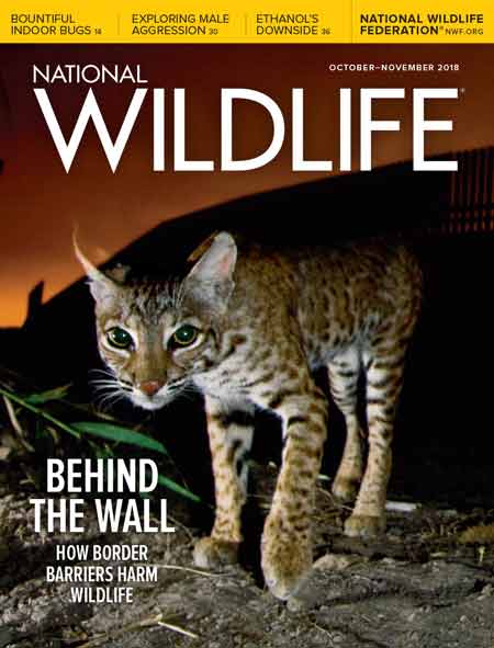 October-November 2018 | National Wildlife Magazine