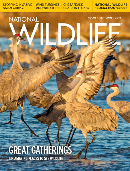 August–September 2019 | National Wildlife Magazine