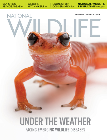 February-March 2019 | National Wildlife Magazine