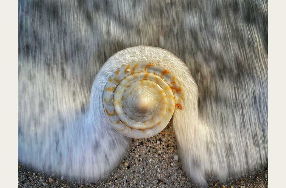 2022 Photo Contest Honorable Mentions | National Wildlife Federation